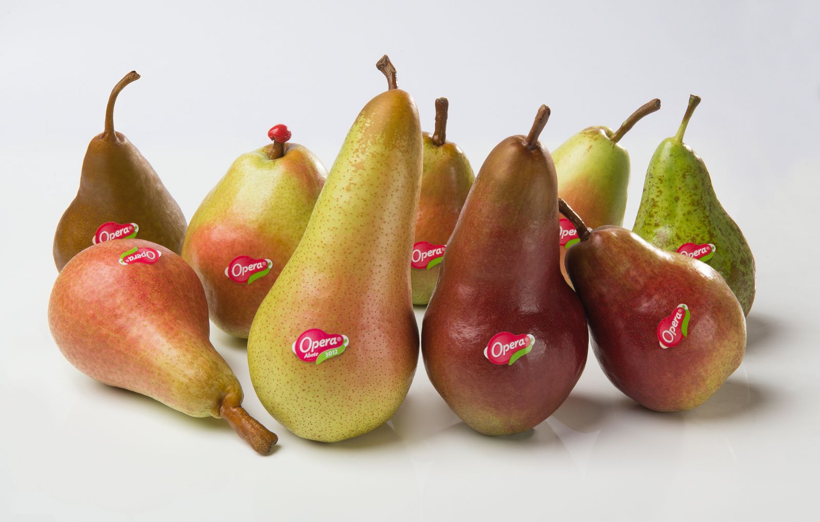 Pere Opera, la produzione torna a crescere - SulPanaro | News